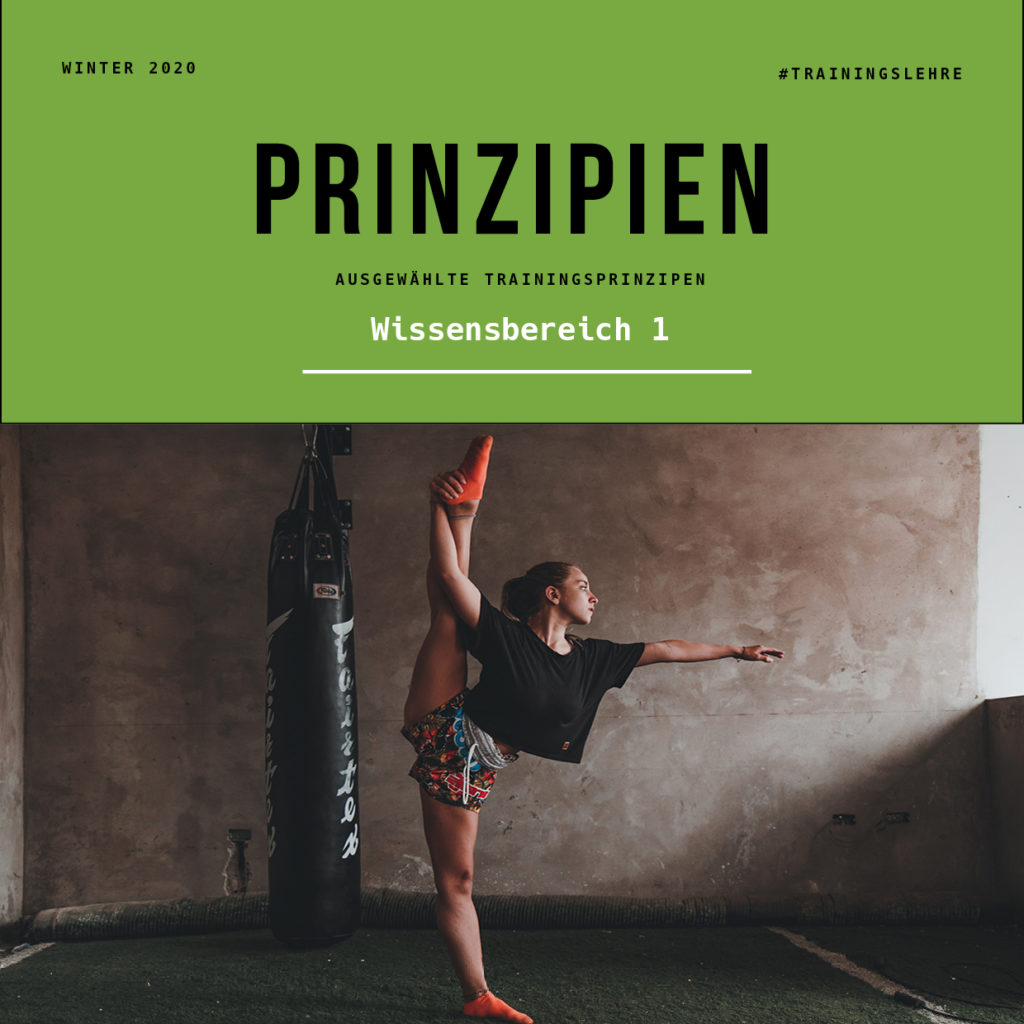 Methoden des Ausdauertrainings – icecube sports